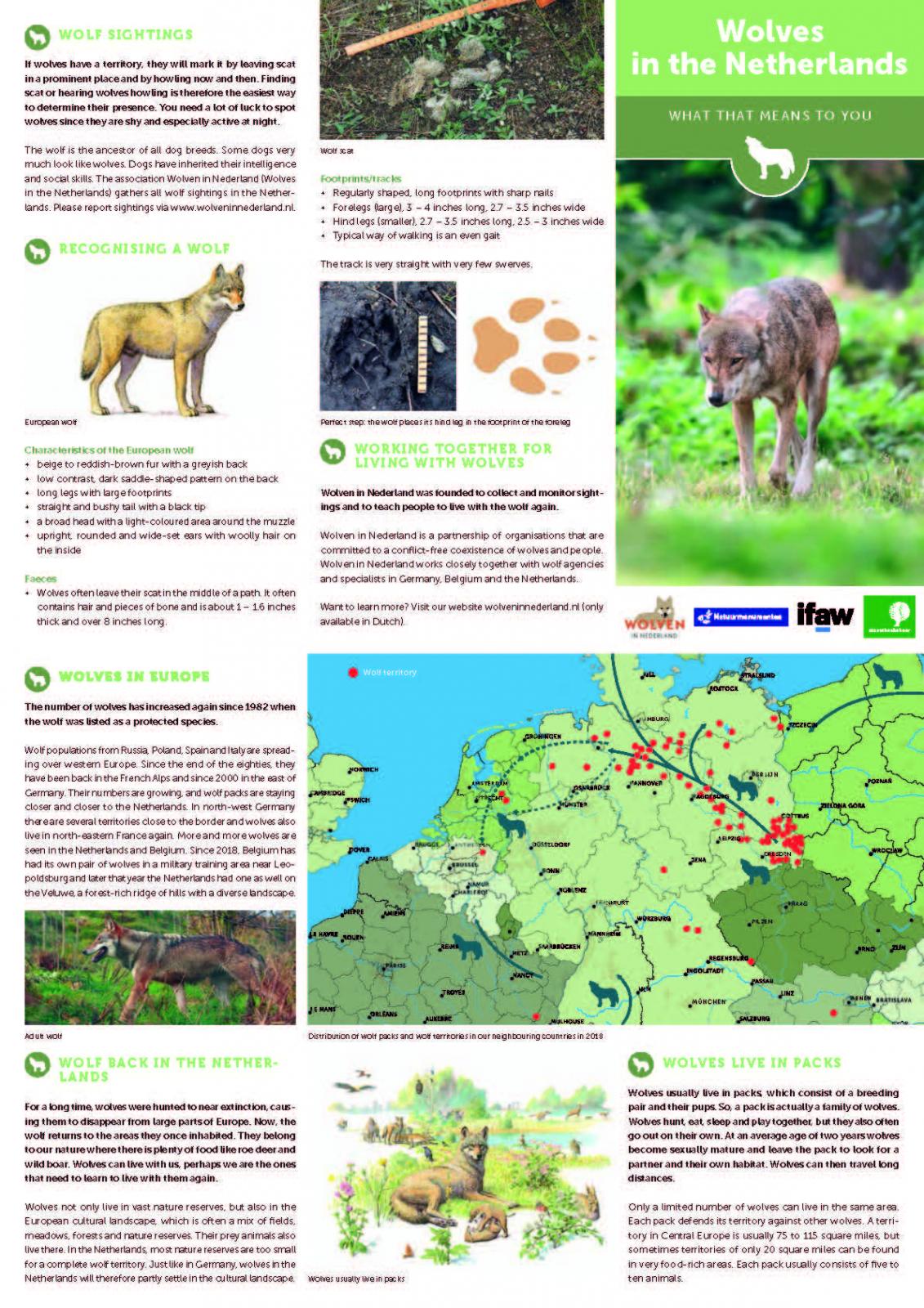 Wolves in the Netherlands | webwinkel ARK