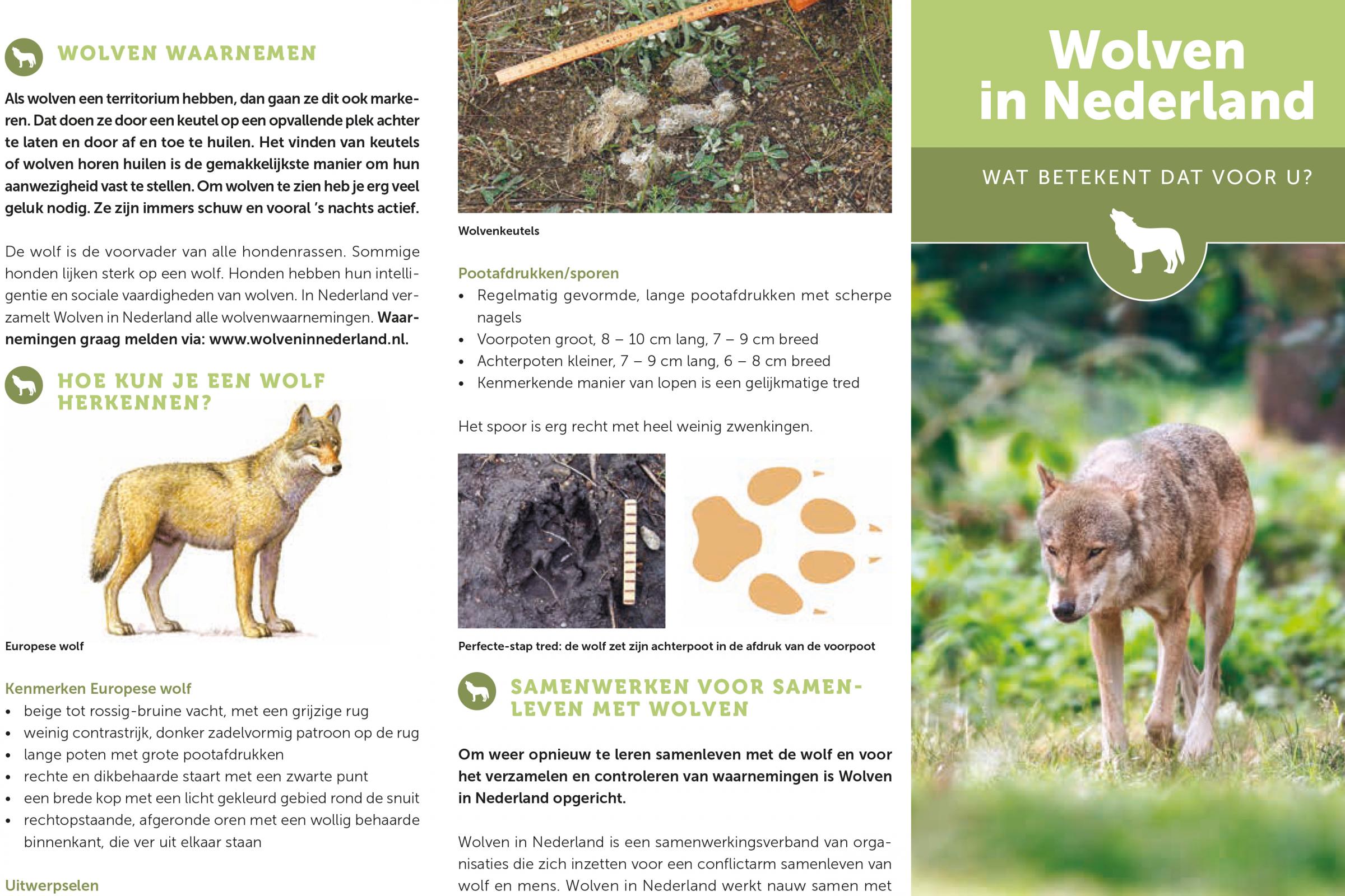 Folder Wolven in Nederland | webwinkel ARK